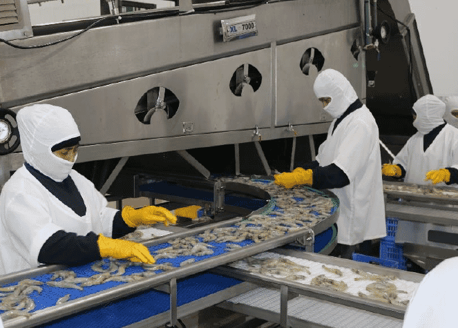 Ecuador tightens up shrimp biosecurity | The Fish Site