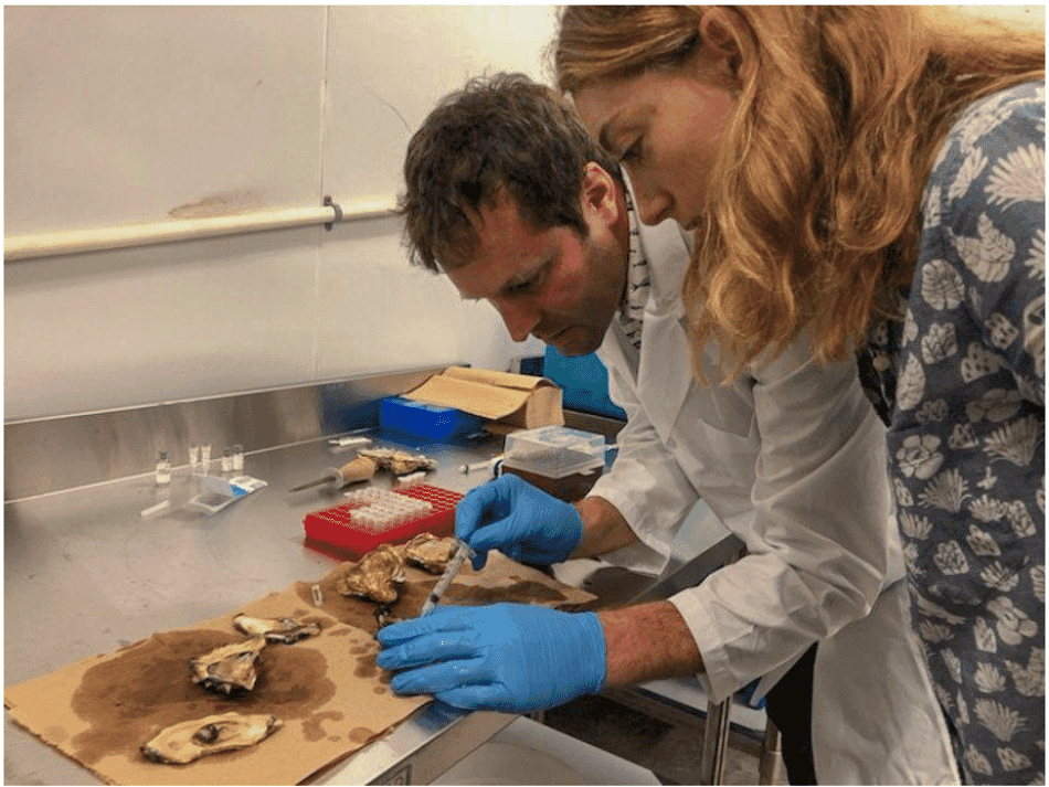 New laboratory at Vancouver Island University aims to strengthen ...