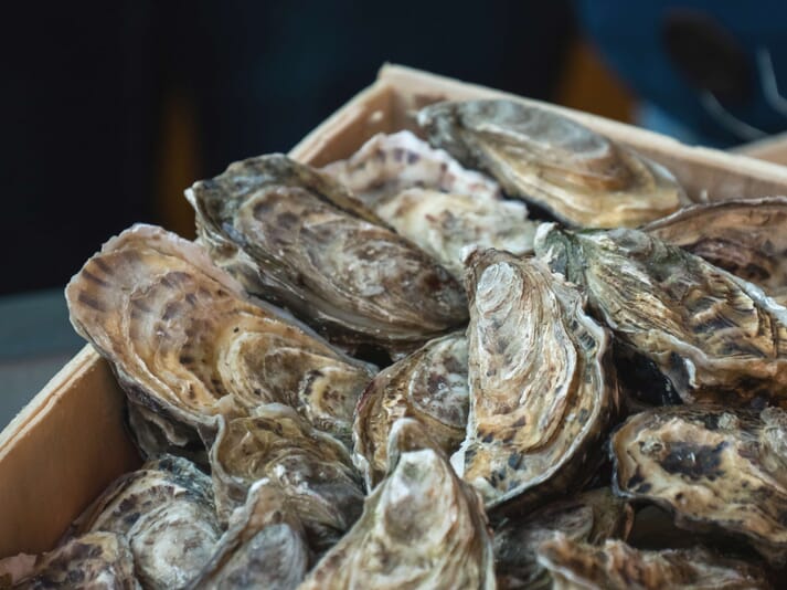 US shellfish farming sector secures $2.4 million funding - Ocean ...