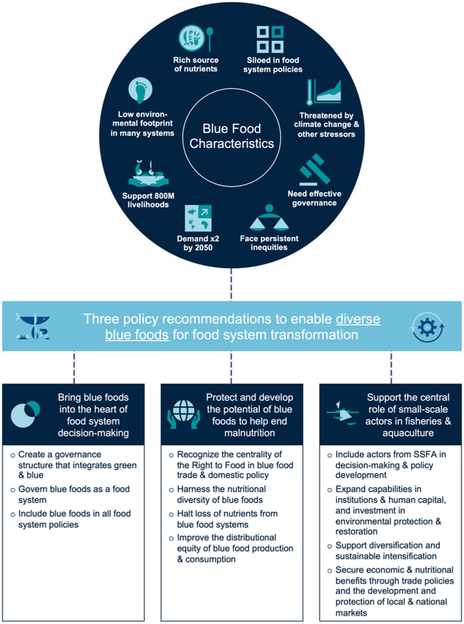 Building on the vital role of blue foods | The Fish Site