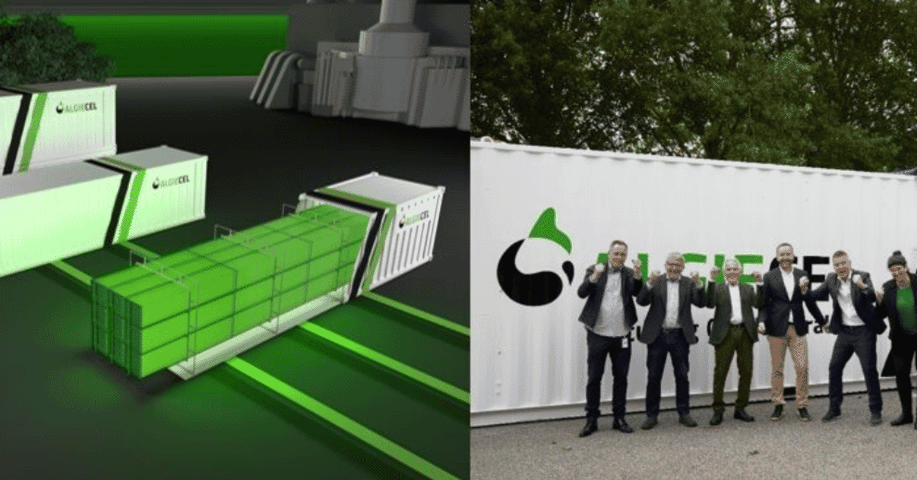 Algal carbon capture startup raises €1.3 million | The Fish Site