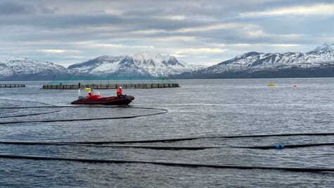 “World’s first” salmon and kelp farm launched | The Fish Site