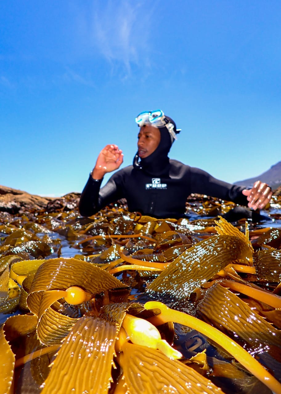 Cambridge offers unique kelp research role | The Fish Site