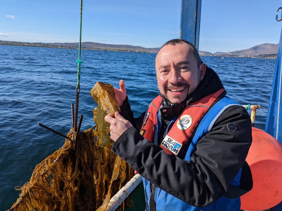 Creating a viable seaweed sector in the West | The Fish Site