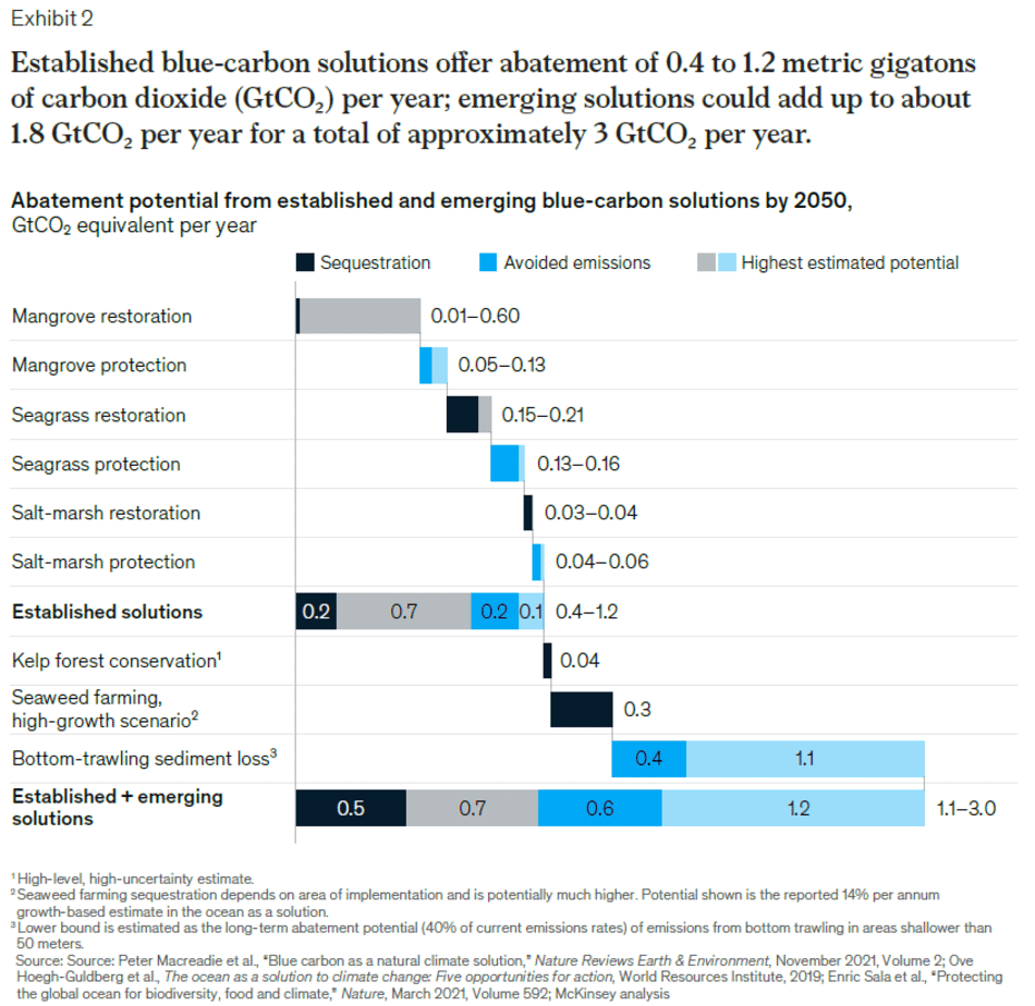 A kelp farmer's guide to blue carbon | The Fish Site