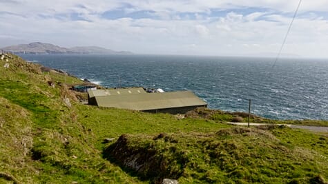 Scaling Ireland’s red seaweed sector | The Fish Site