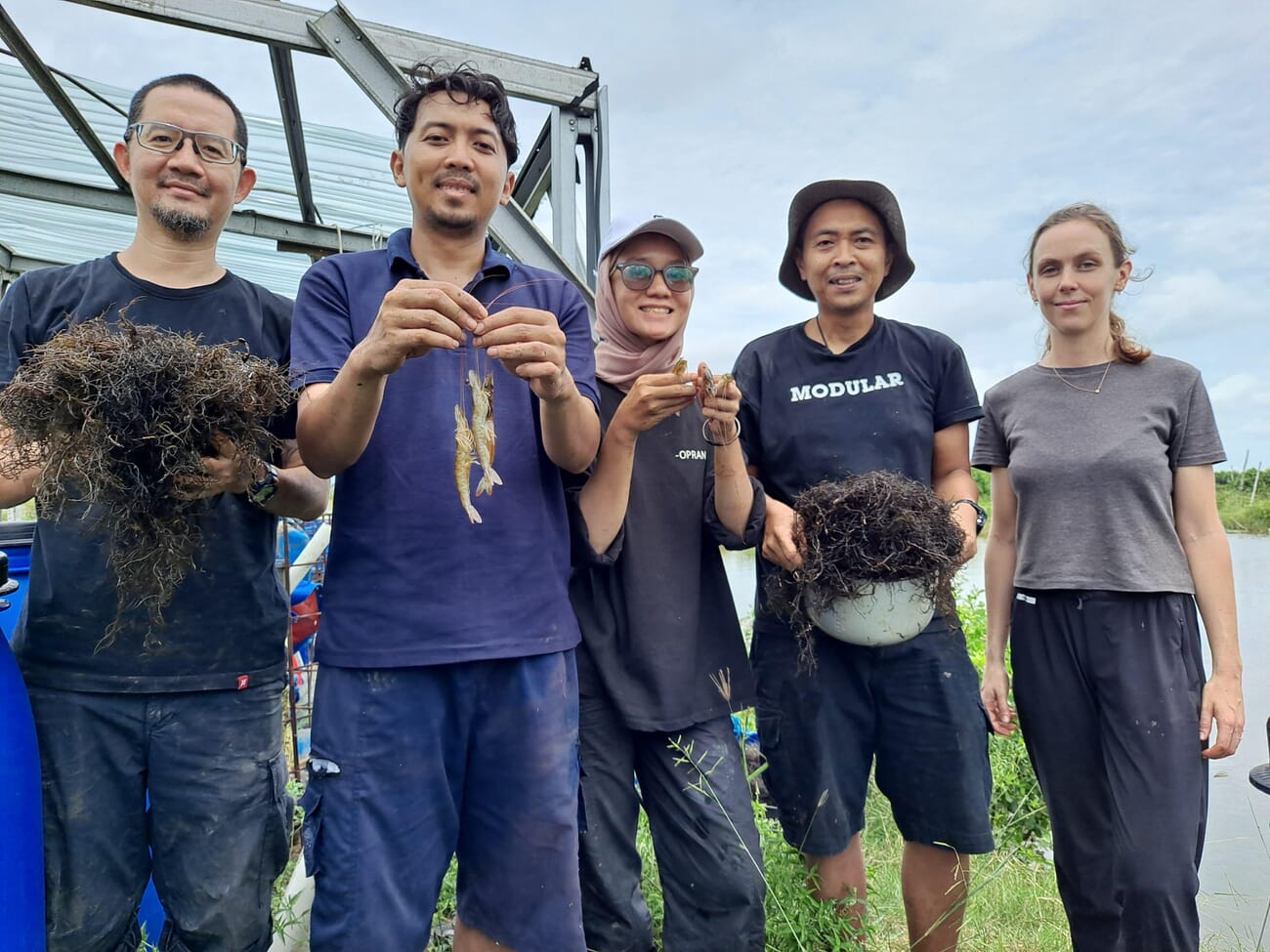 A multi-species approach to revitalising Indonesia’s abandoned shrimp ...
