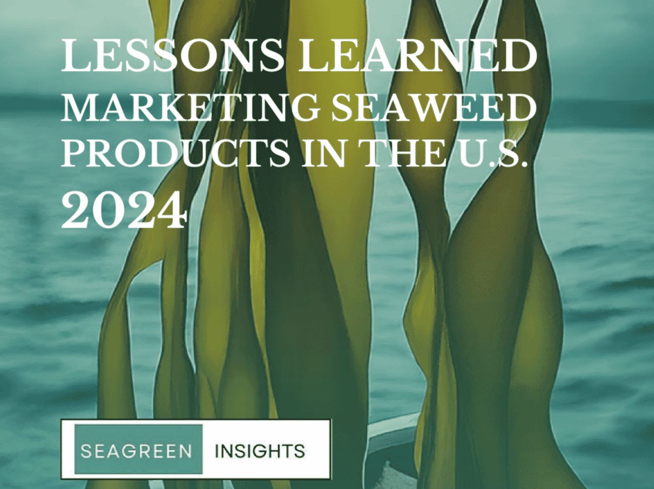 Seagreen shares fresh insights on the US seaweed sector | The Fish Site