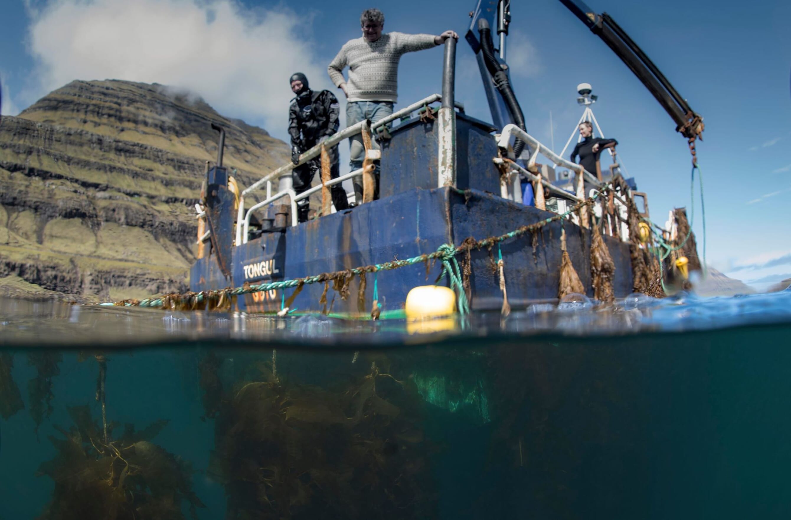 Restorative aquaculture: Ocean Rainforest | The Fish Site