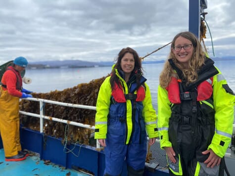 Scots IMTA project reports first seaweed harvest | The Fish Site