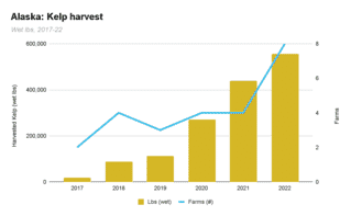 Alaskan kelp sector grows thirty-fold in five years | The Fish Site