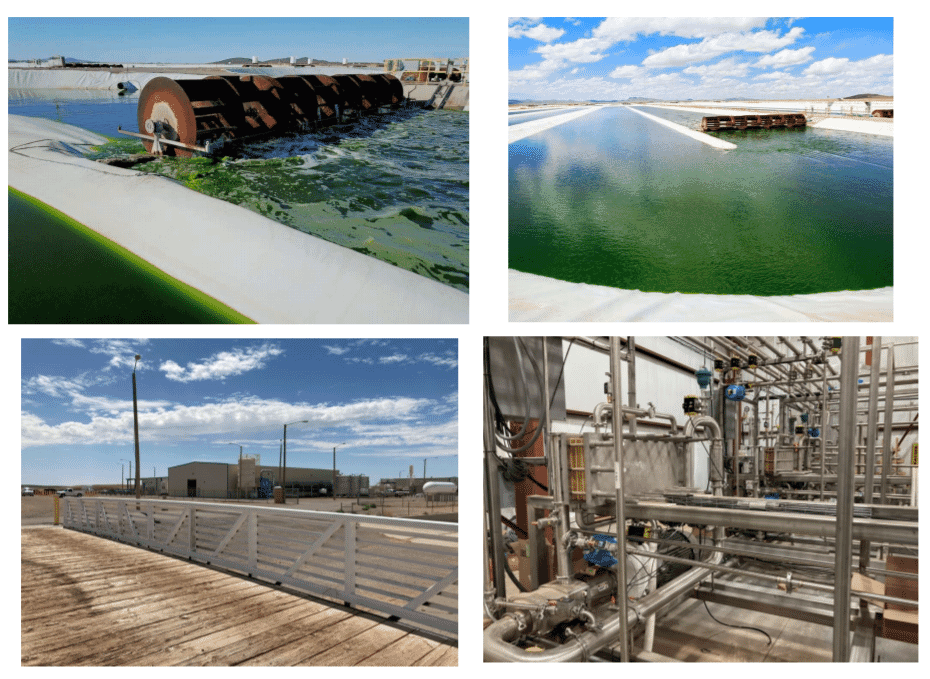 Algae farmer set for 180 percent production increase | The Fish Site
