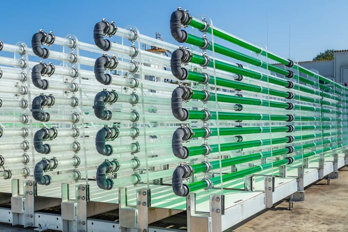 Algae’s carbon reduction abilities get additional confirmation | The ...