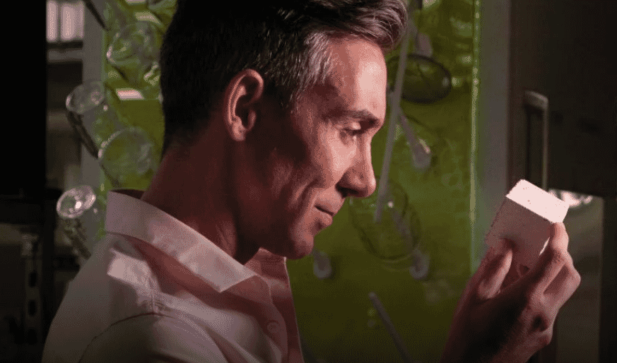 Researchers use algae to create carbon-neutral cement | The Fish Site