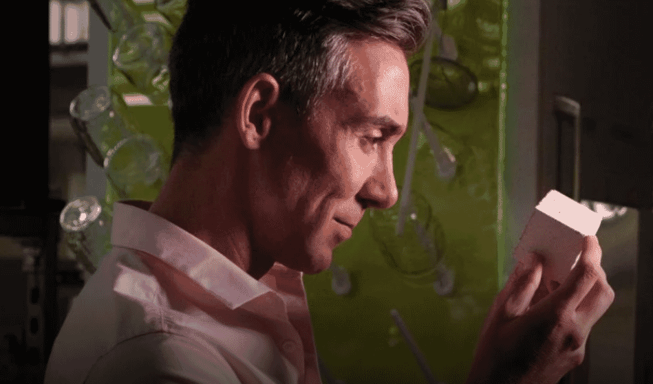 Researchers use algae to create carbon-neutral cement | The Fish Site