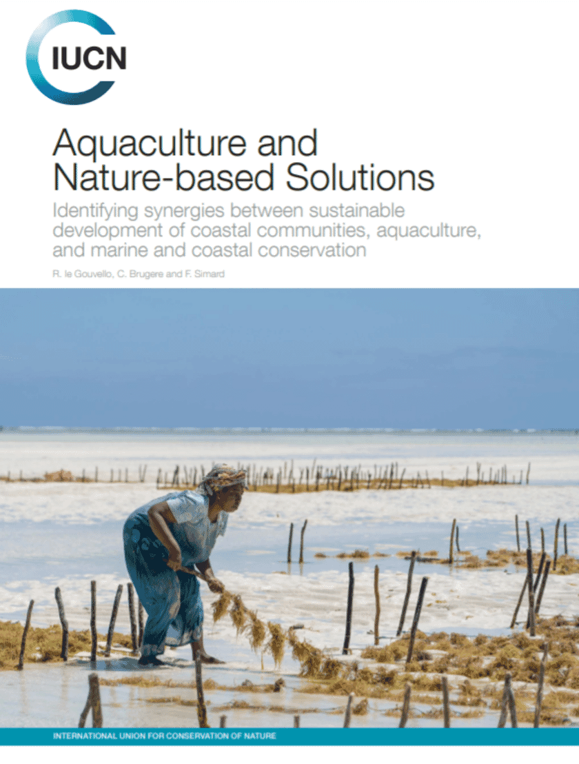Can aquaculture systems qualify as "nature-based solutions"? | The Fish ...