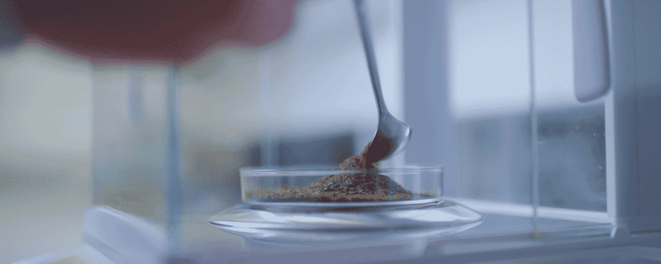 Seaweed startup unveils non-synthetic food ingredient to replace ...