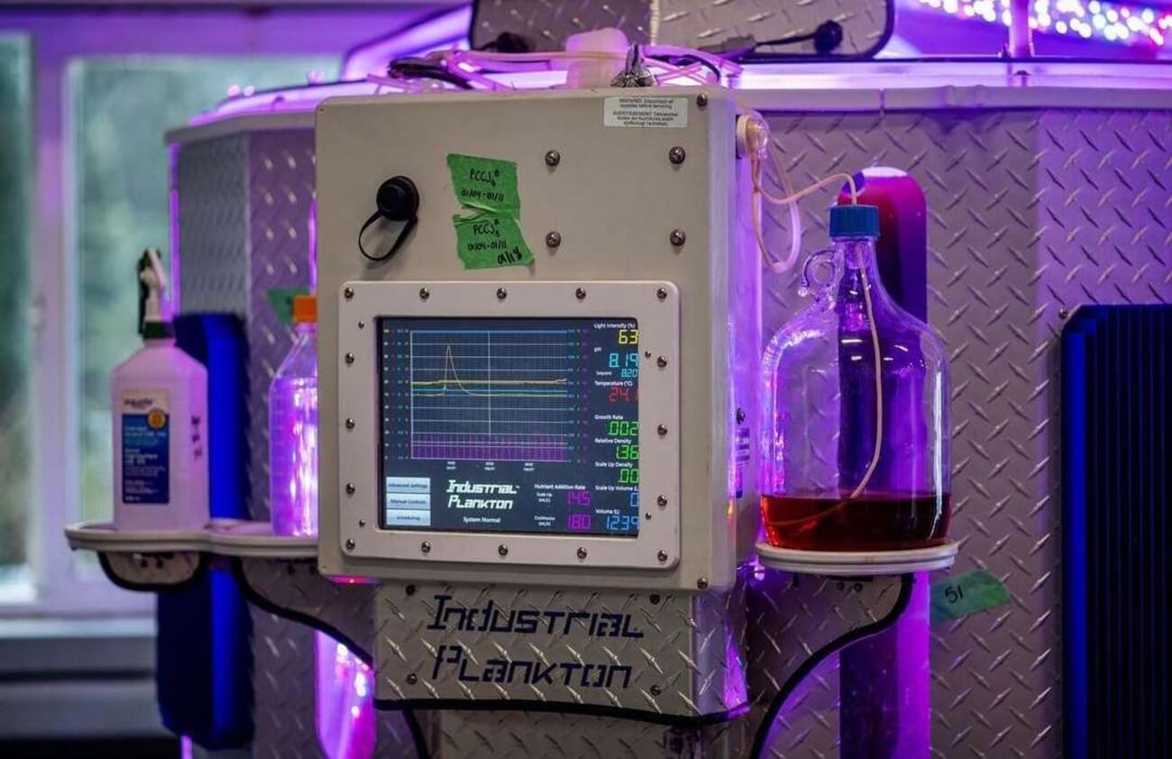 The biotech company shaking up the algae sector | The Fish Site