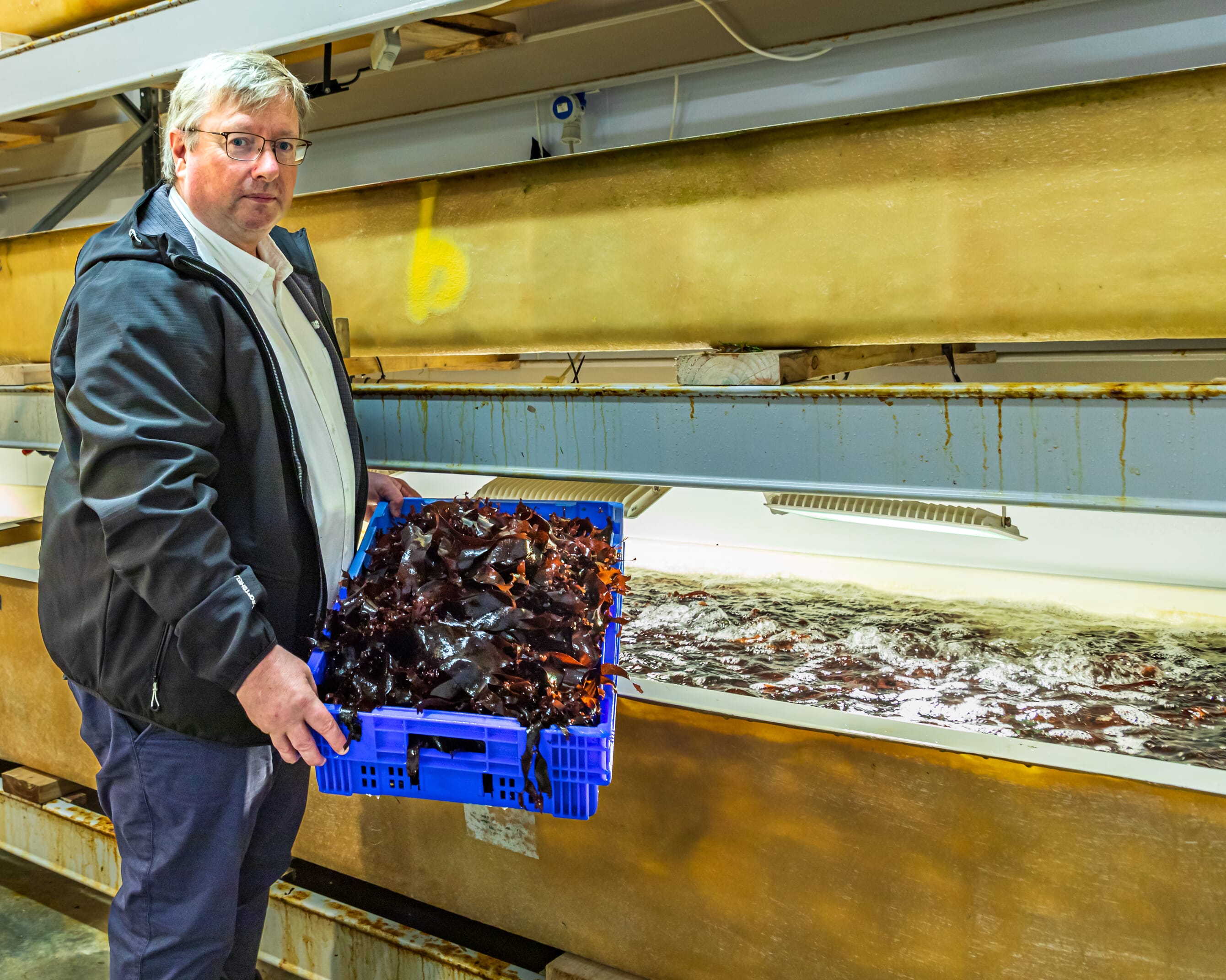 Scaling Ireland’s red seaweed sector | The Fish Site