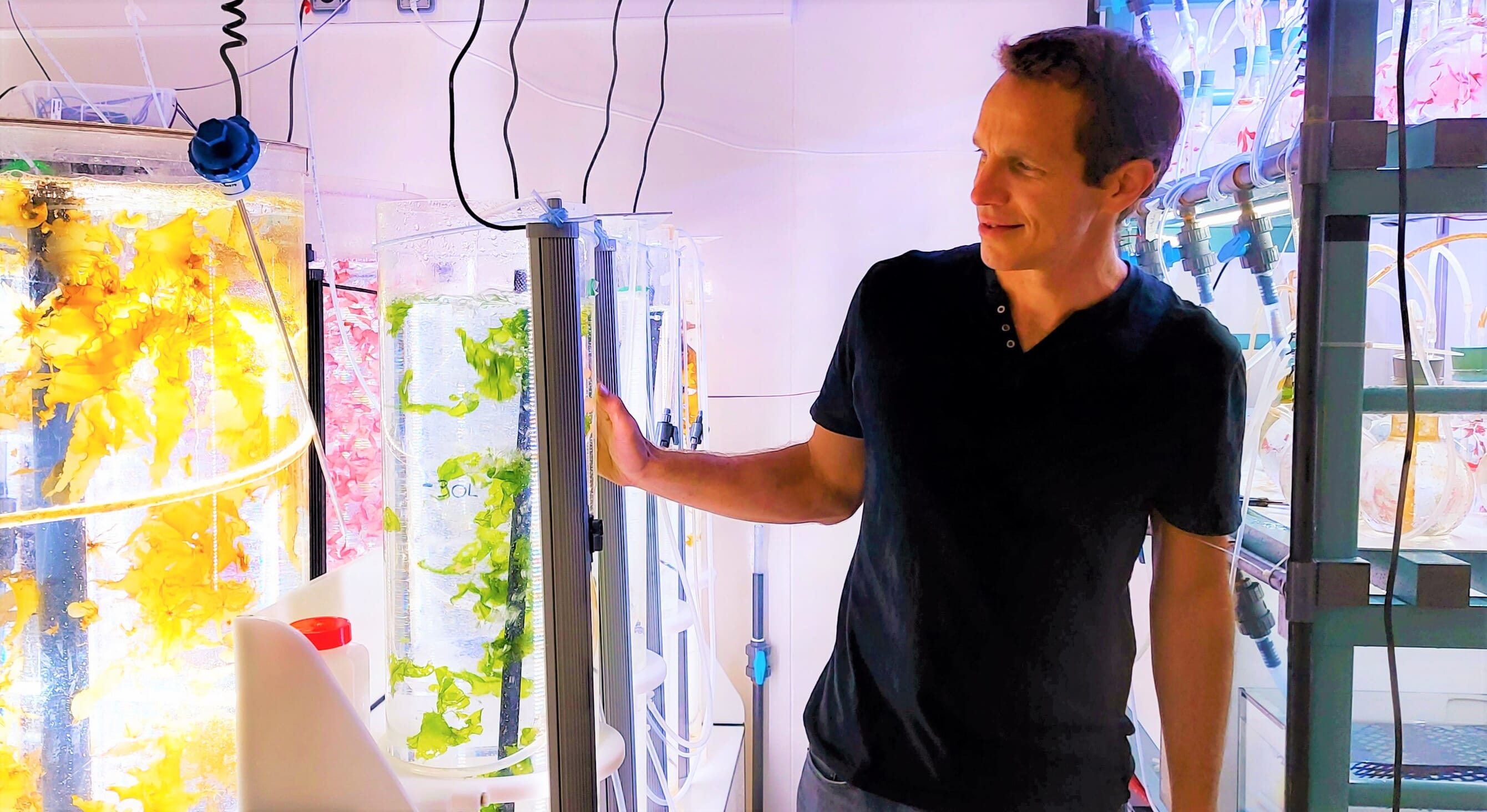 The seaweed revolutionary | The Fish Site