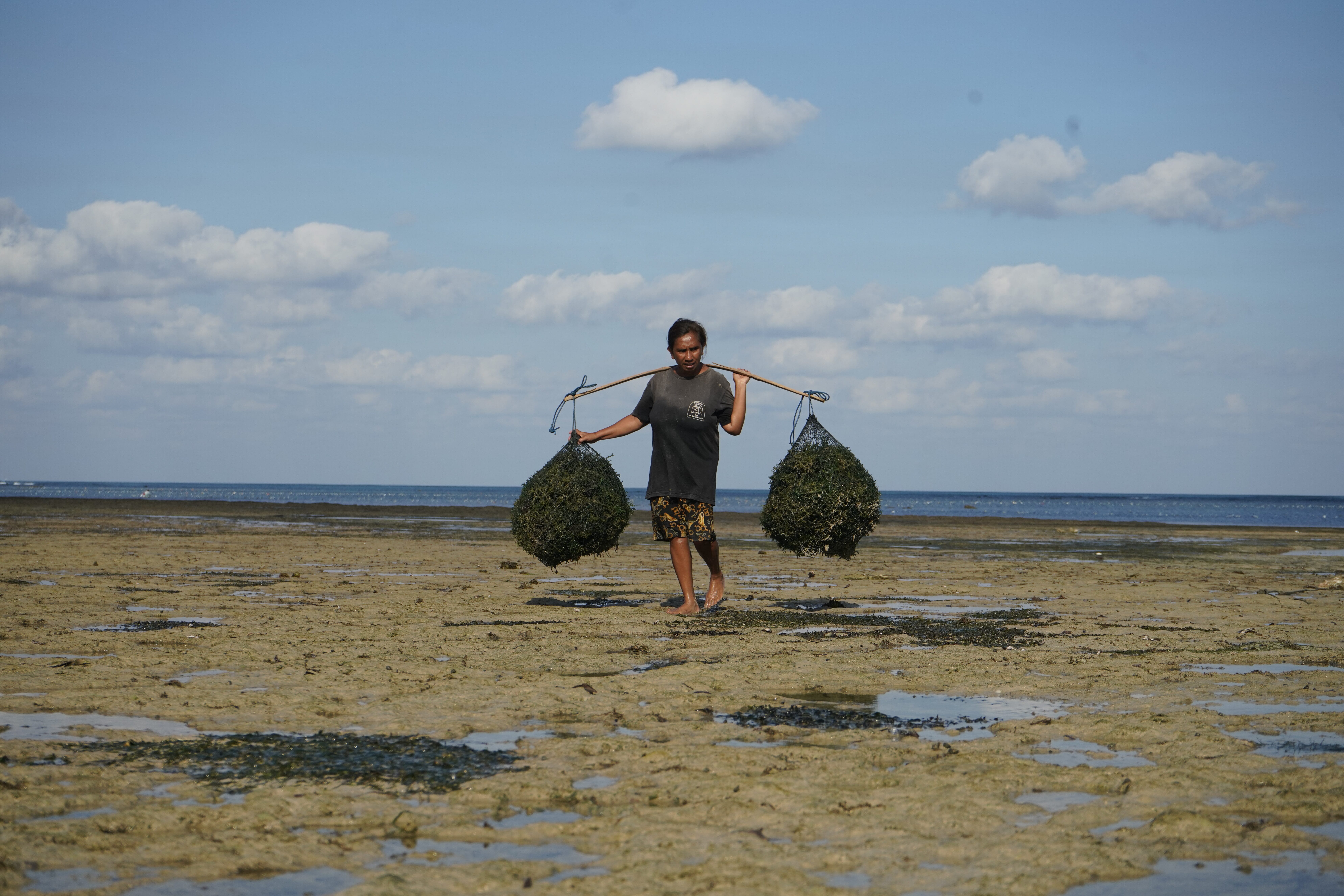 Industry Partnership aims to advance seafood sector gender equality ...