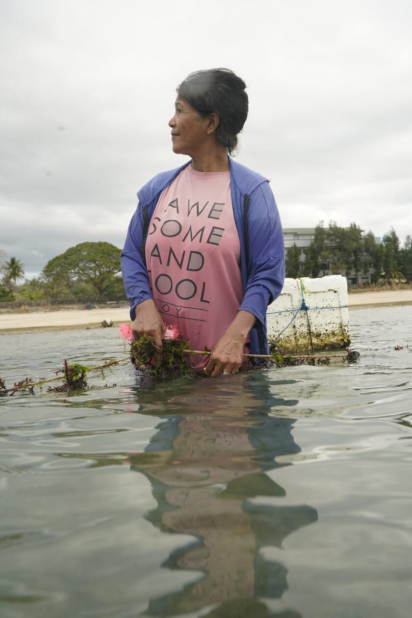 Applications open for Women in Ocean Food Innovation Studio 2022 | The Fish Site