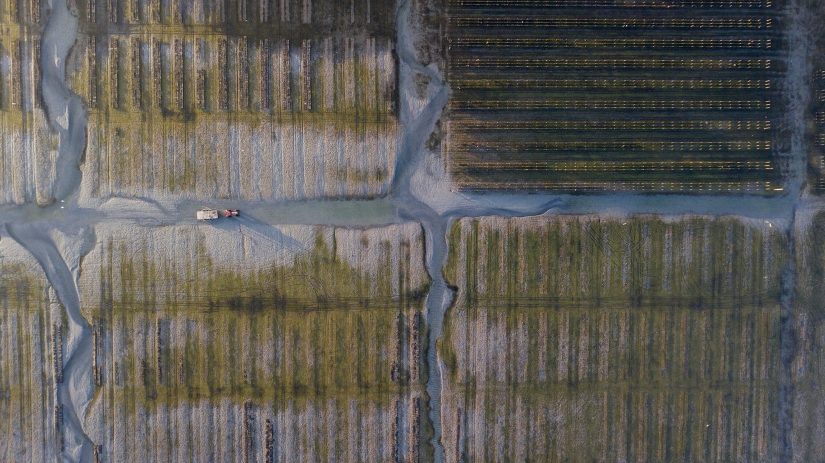 One sea, one ocean and a world of shellfish farming opportunities | The ...