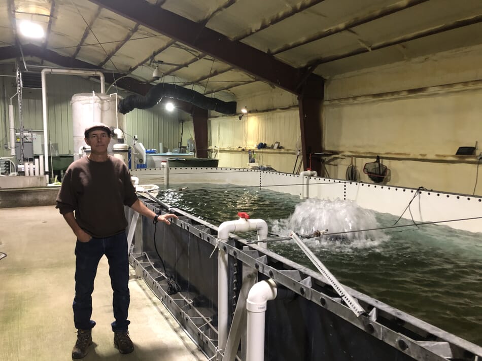 Tales from a tribal trout farm | The Fish Site