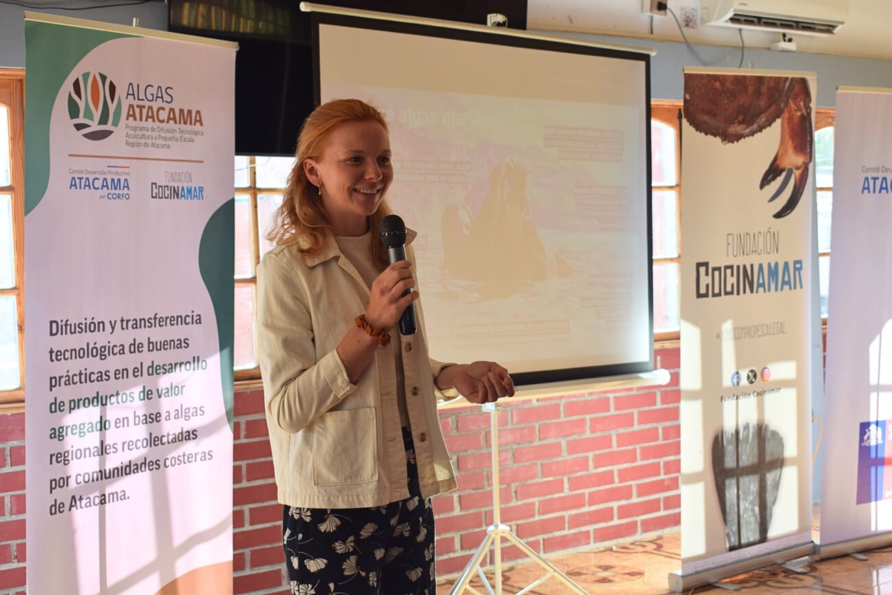 Can the seaweed sector revitalise Chile’s coastal communities? | The ...