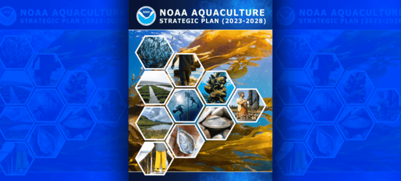 NOAA launches inaugural five-year aquaculture plan | The Fish Site