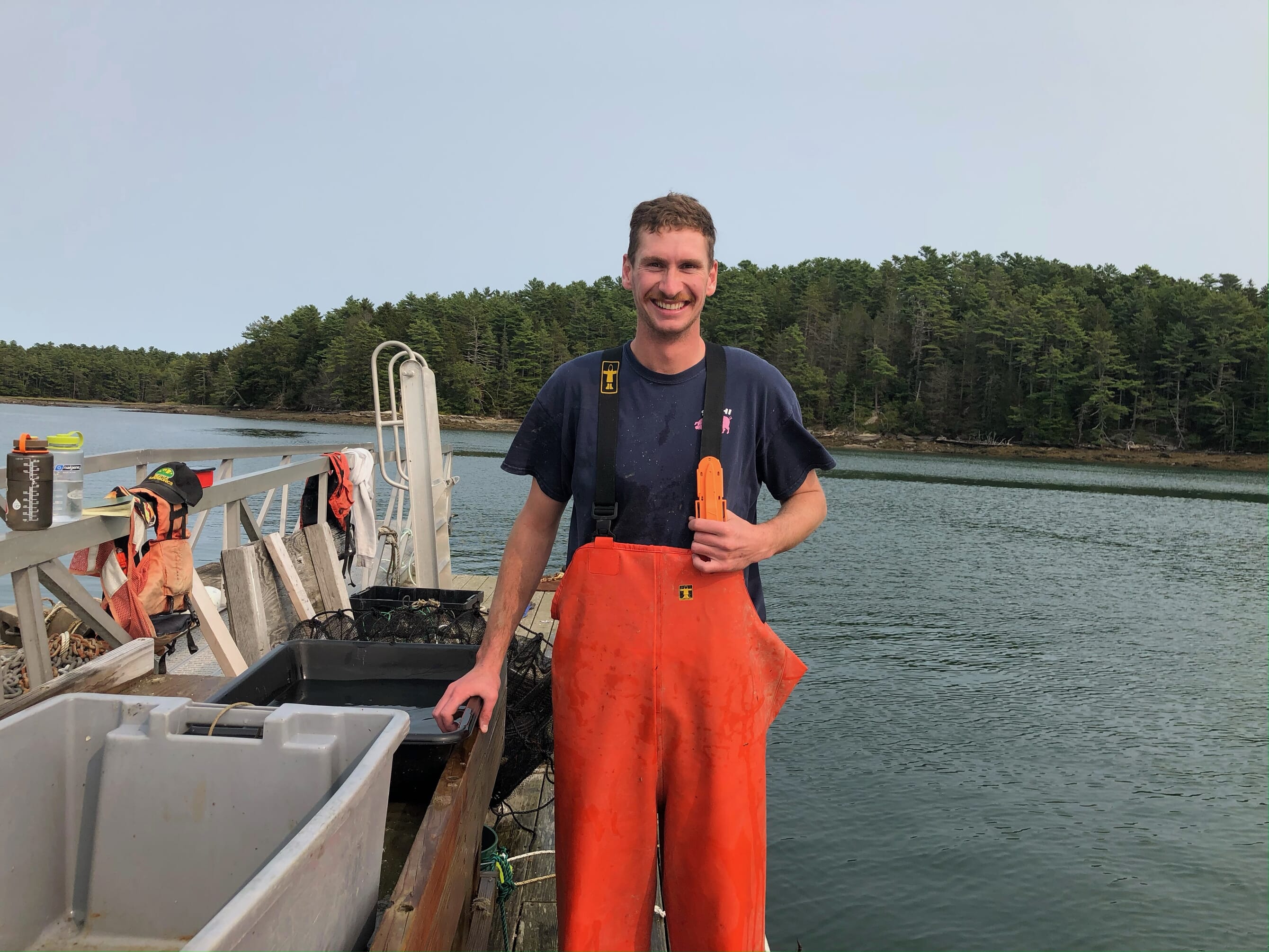 Vertical Bay: the US startup seeking to emulate Japan's scallop farming ...