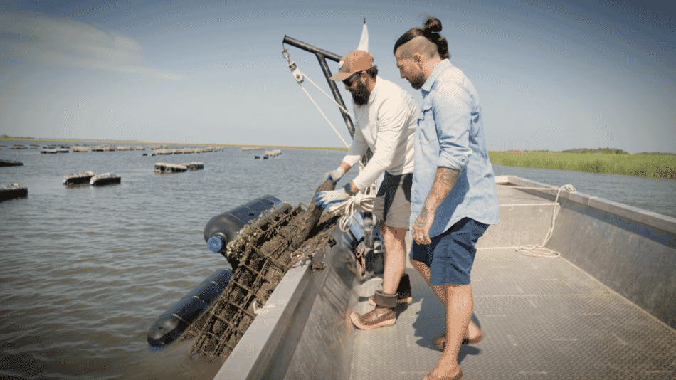 Why the US must grow more of its own seafood | The Fish Site