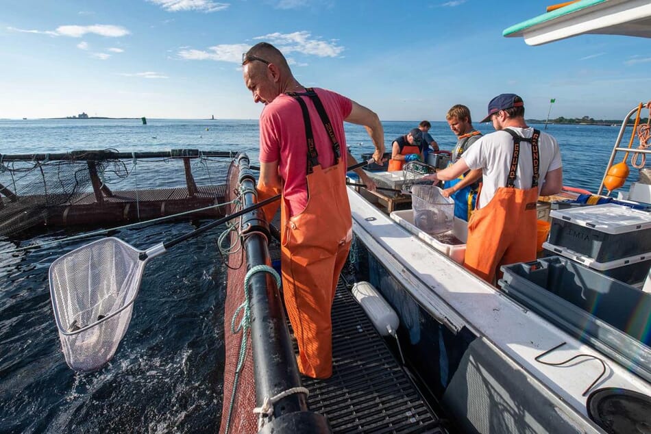 University of New Hampshire to expand aquaculture programme | The Fish Site