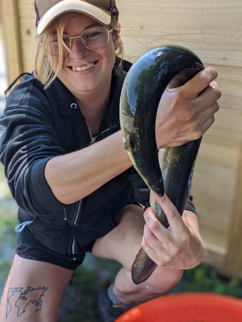 America’s eel RAS superstar | The Fish Site