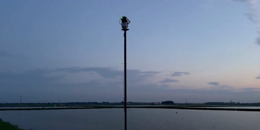 Laser bird repellent shows promise for Mississippi aquaculture ...