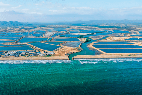 Ecuador prepares to showcase its shrimp sector | The Fish Site