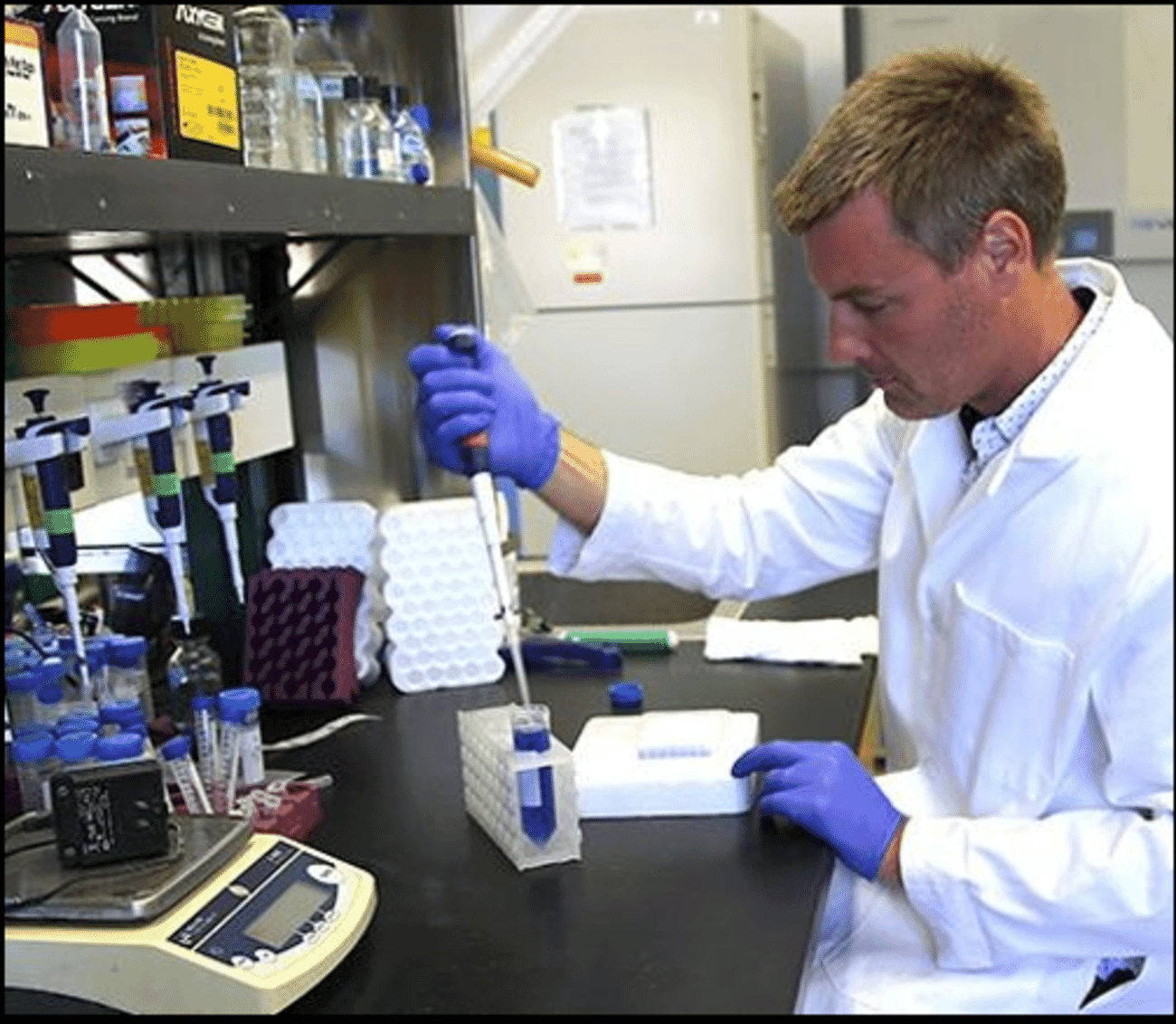 A genetic approach to improving FCRs | The Fish Site