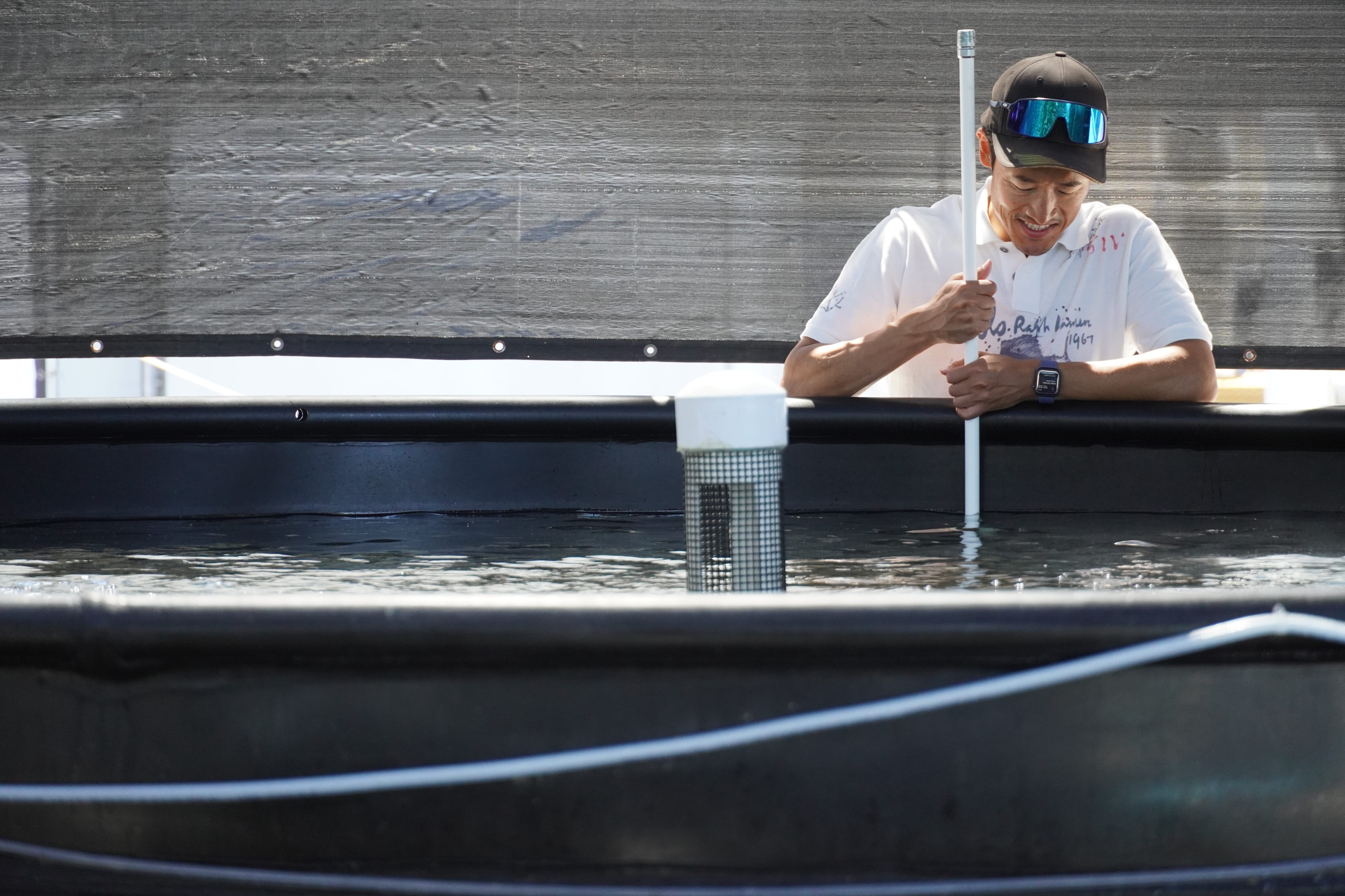 Hatch Blue opens applications for global aquaculture incubator in Hawai ...