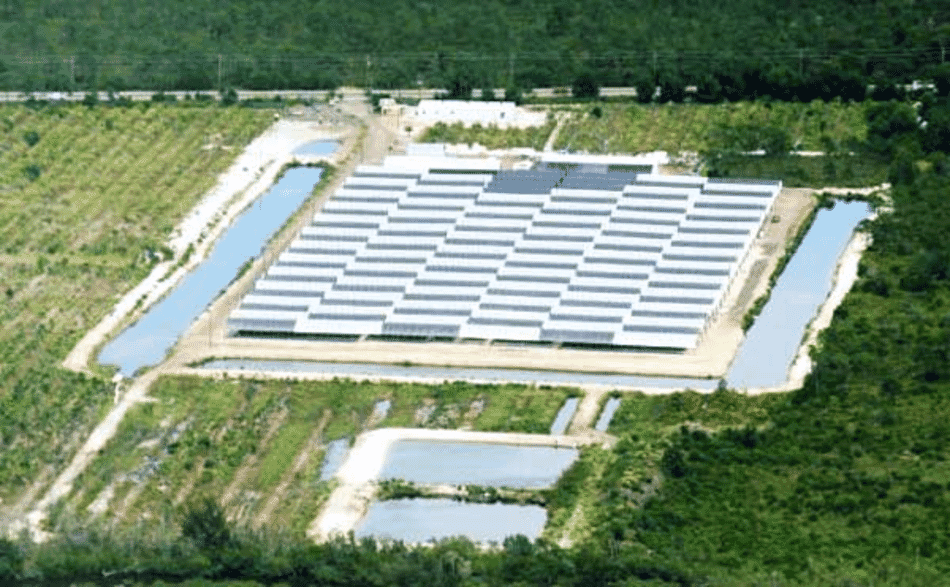 Hyper-drive: the pros and cons of intensive RAS production in the US ...