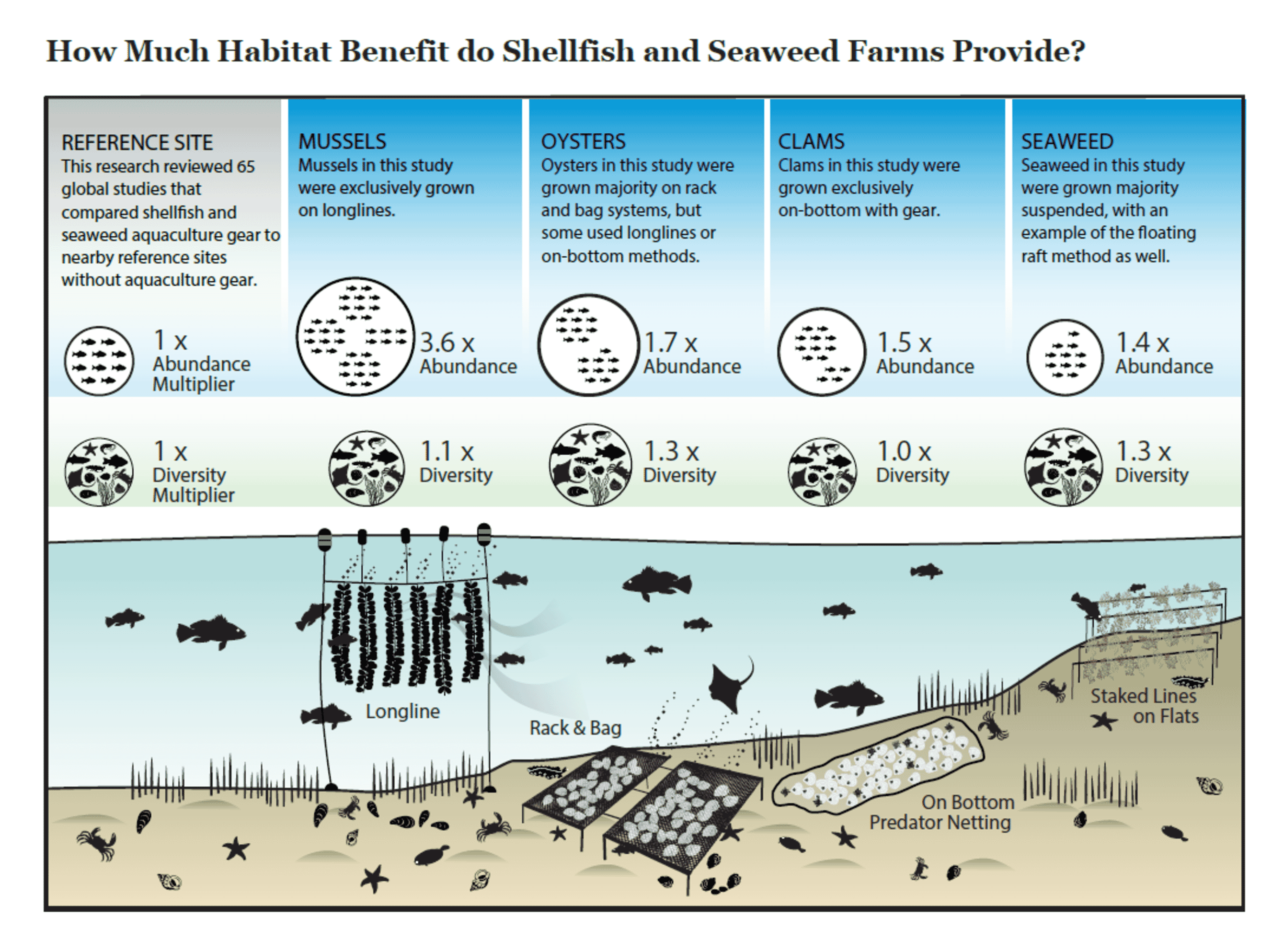 Restorative aquaculture shows we can have more habitat, and eat it too ...
