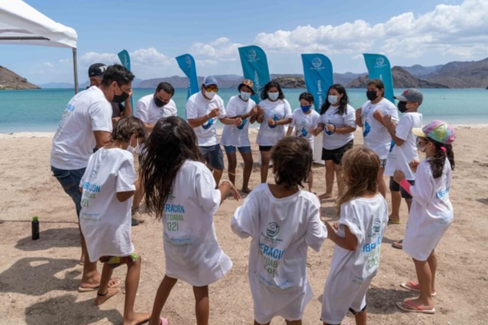 Deciding the future of Mexico’s Totoaba farms | The Fish Site