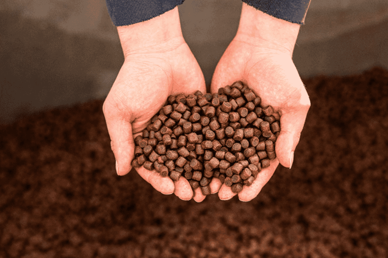 ASC certification granted to pioneering feed mills | The Fish Site