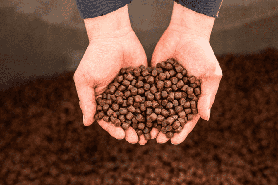 ASC certification granted to pioneering feed mills | The Fish Site