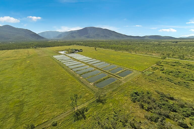 Iconic Queensland fish and shellfish farm offered for sale | The Fish Site