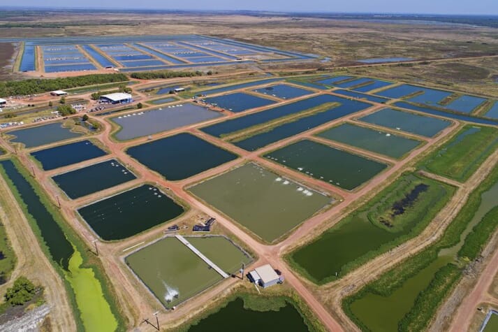 Northern Australia targets five-fold aquaculture increase | The Fish Site