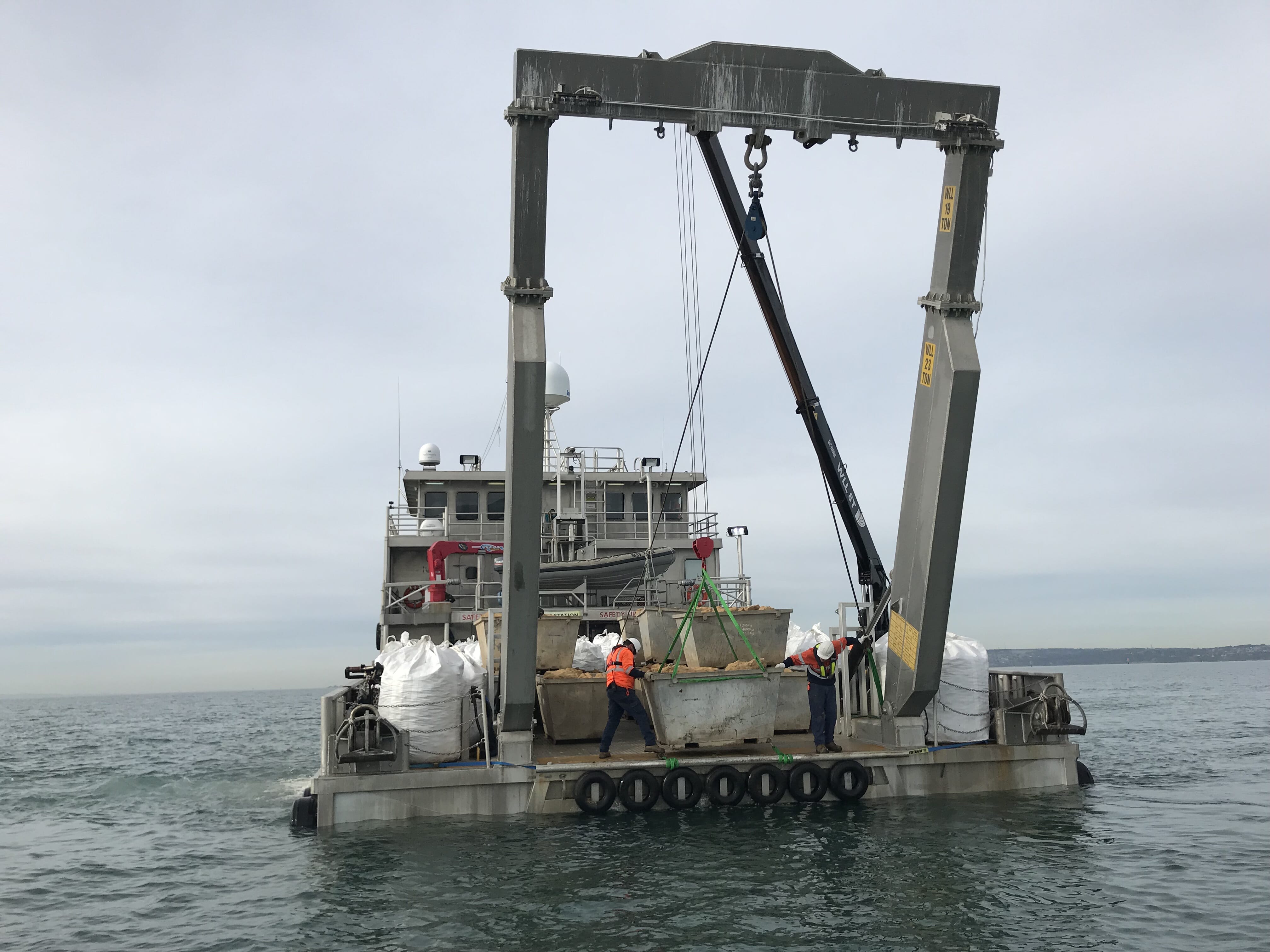 A ground-breaking guide to shellfish restoration | The Fish Site