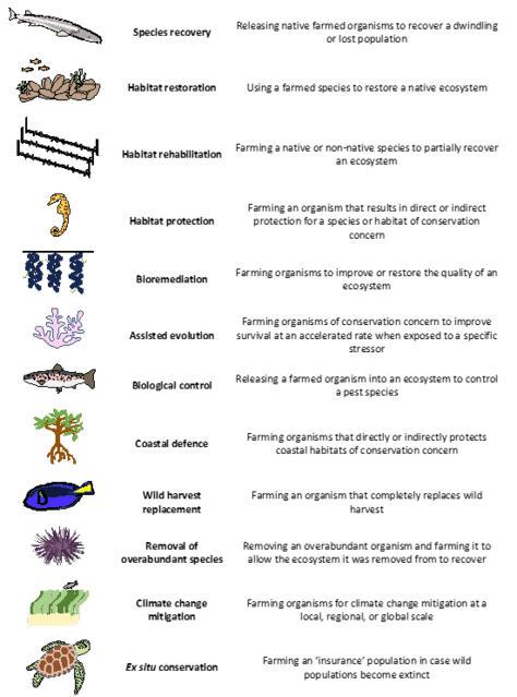 12 ways aquaculture can benefit the environment | The Fish Site