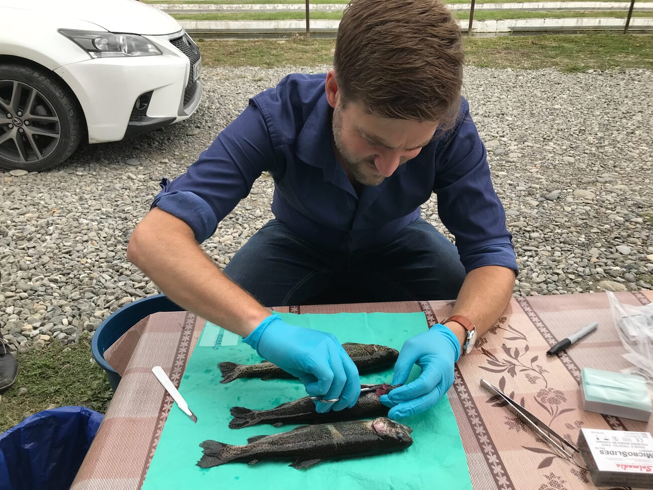 AMR in aquaculture: a fish vet’s perspective | The Fish Site