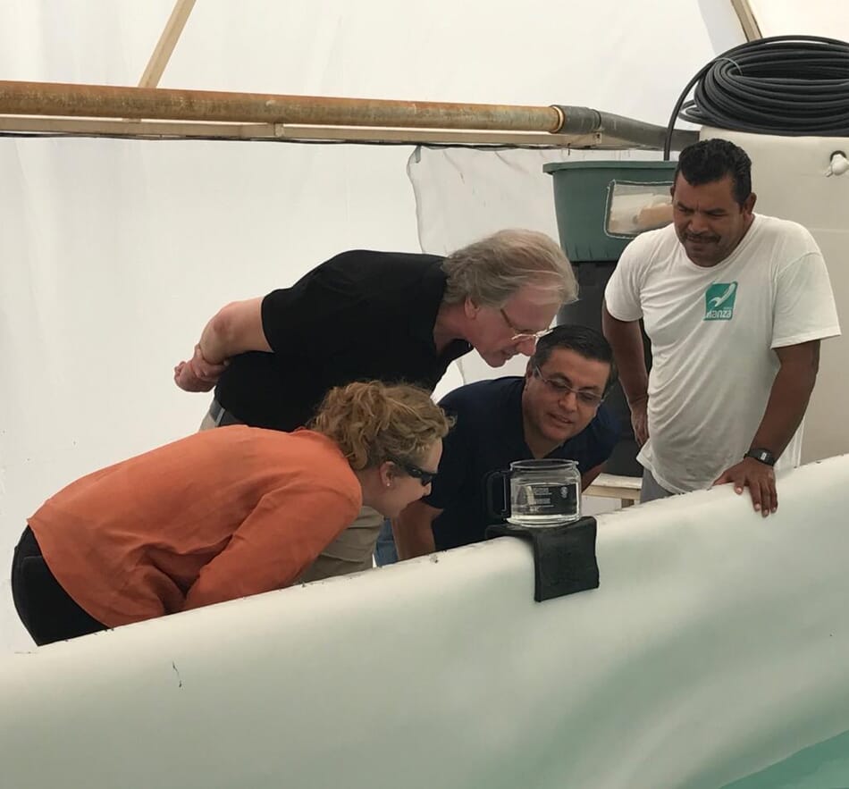 New leader for new era at INVE | The Fish Site