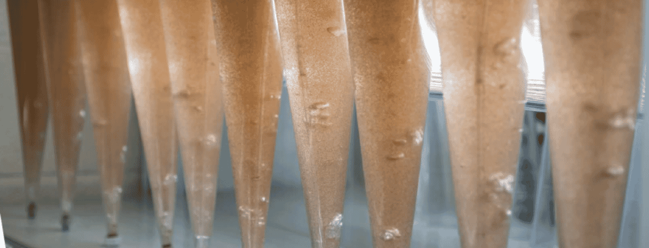 INVE takes artemia to the next level | The Fish Site